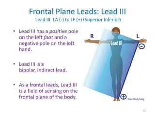 ECG Leads in a 12-Lead ECG | PPTX