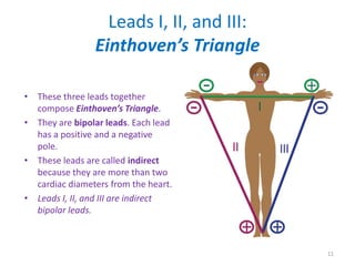 ECG Leads in a 12-Lead ECG | PPTX