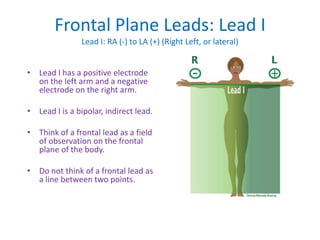ECG Leads in a 12-Lead ECG | PPTX