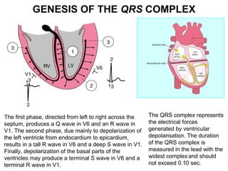 Ecg lecture | PPT