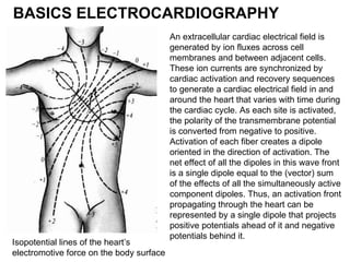 Ecg lecture | PPT