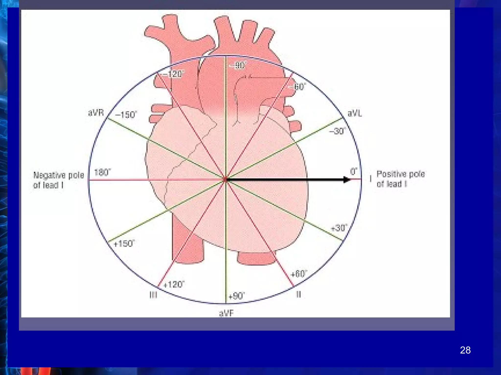 Ecg lecture. nchanji nkeh keneth | PDF