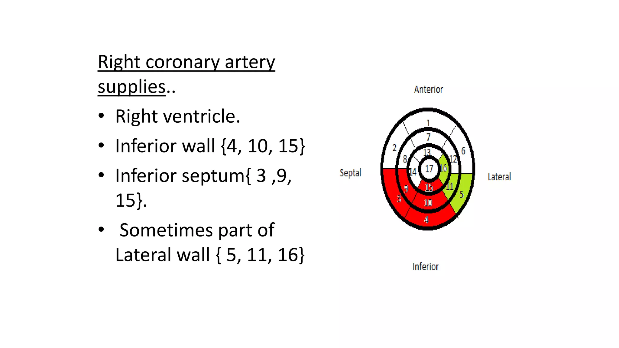 Ecg localization of myocardial infarction | PPTX