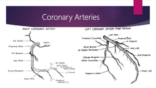 Ecg localization of myocardial infarction | PPTX