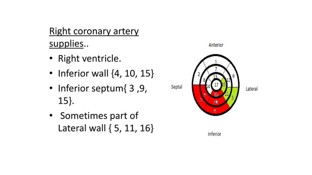 Ecg localization of myocardial infarction | PPTX | Heart and ...