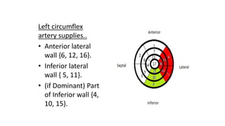 Ecg localization of myocardial infarction | PPTX