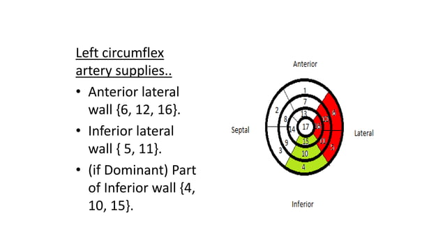 Ecg localization of myocardial infarction | PPTX | Heart and ...