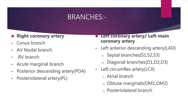 Ecg localization of myocardial infarction | PPTX | Heart and ...