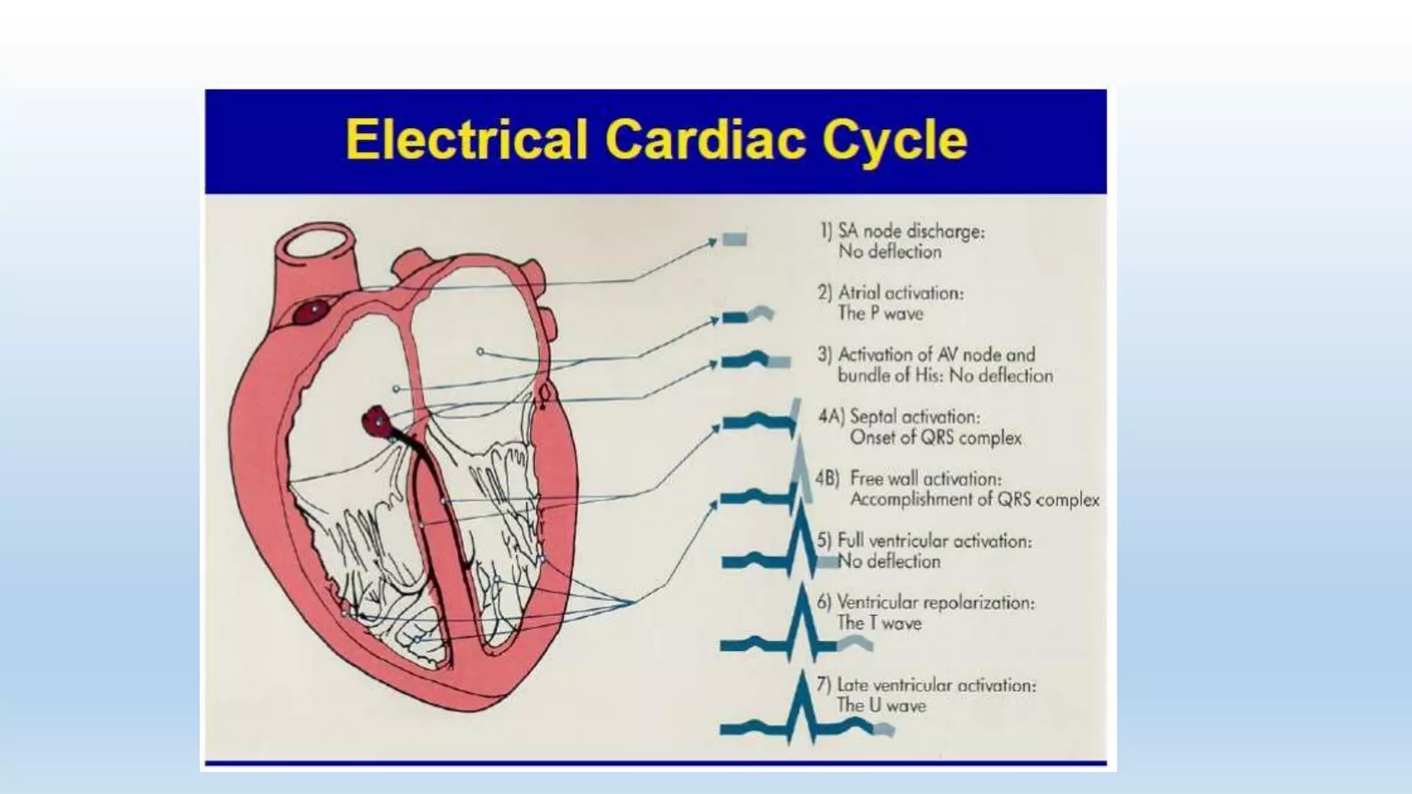 ECG machines -Operation and Maintenance | PPTX