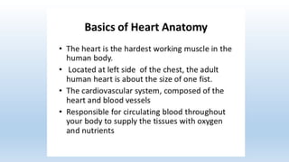 ECG machines -Operation and Maintenance | PPTX