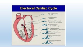 ECG machines -Operation and Maintenance | PPTX