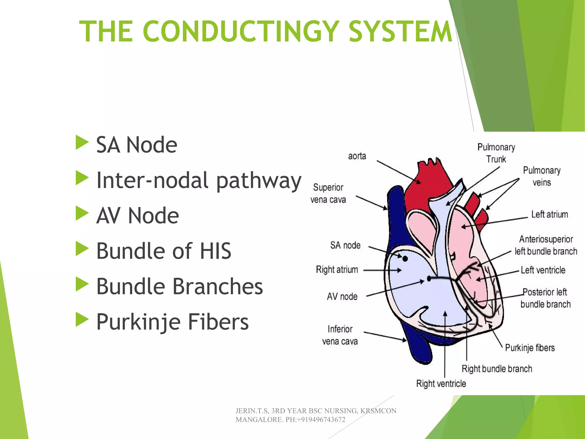 Ecg made easy ppt | PPT