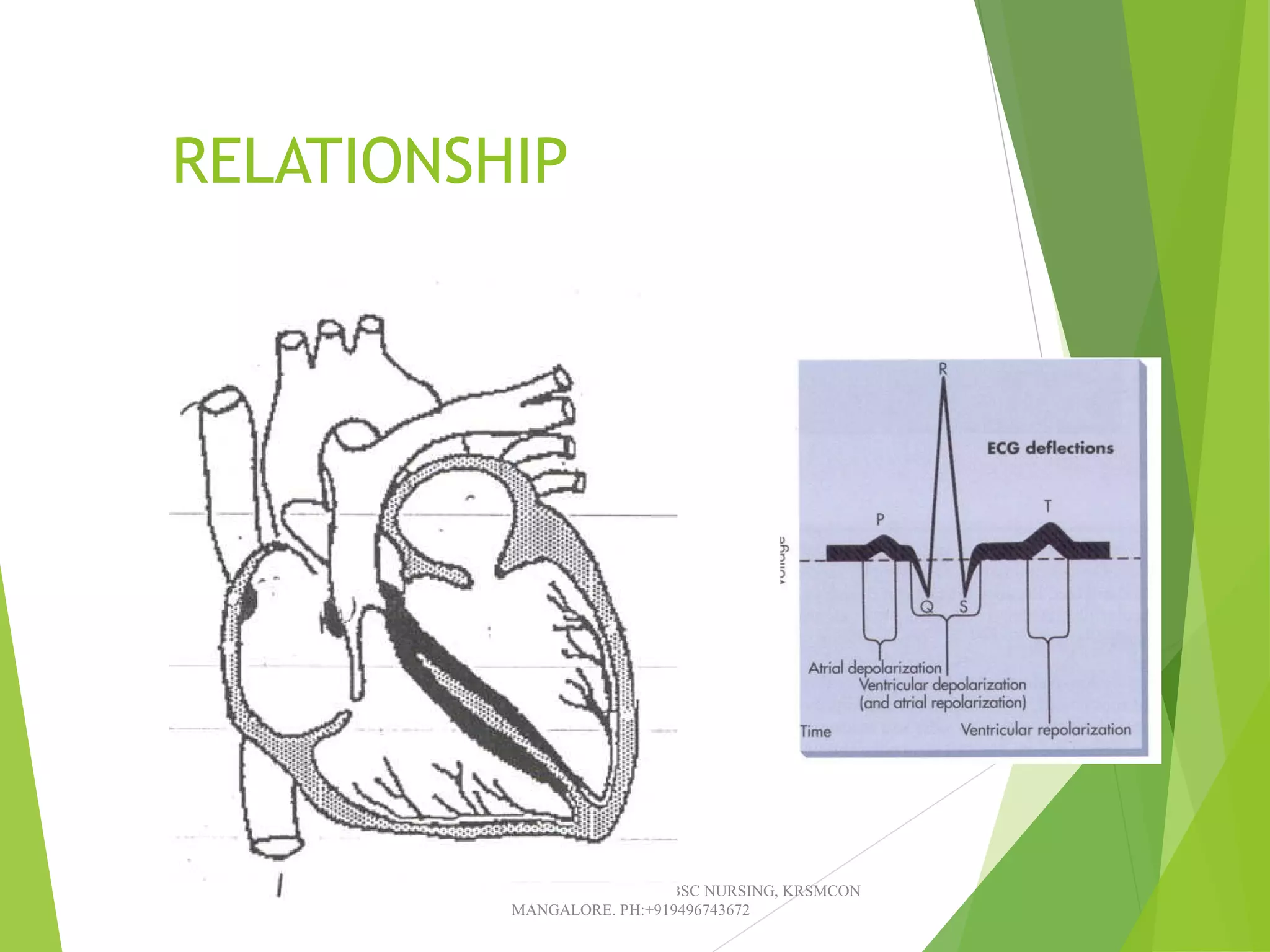 Ecg made easy ppt | PPT