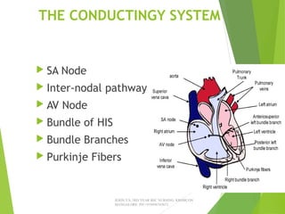 Ecg made easy ppt | PPT