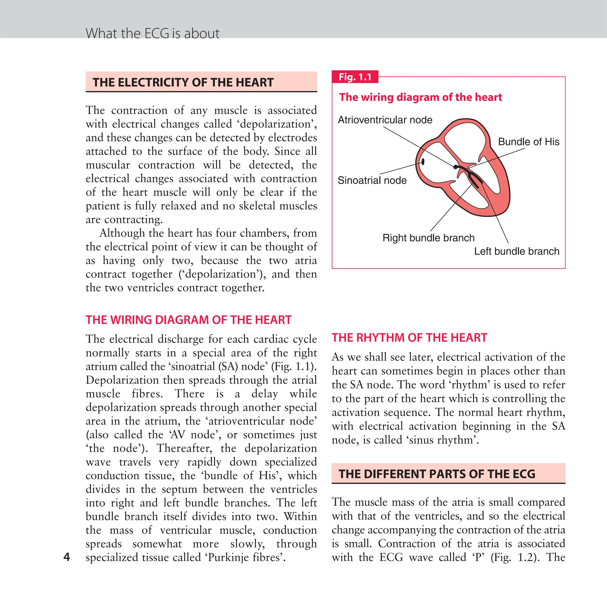 The ECG made easy guide. Guide on how to read ECG's quick and ...