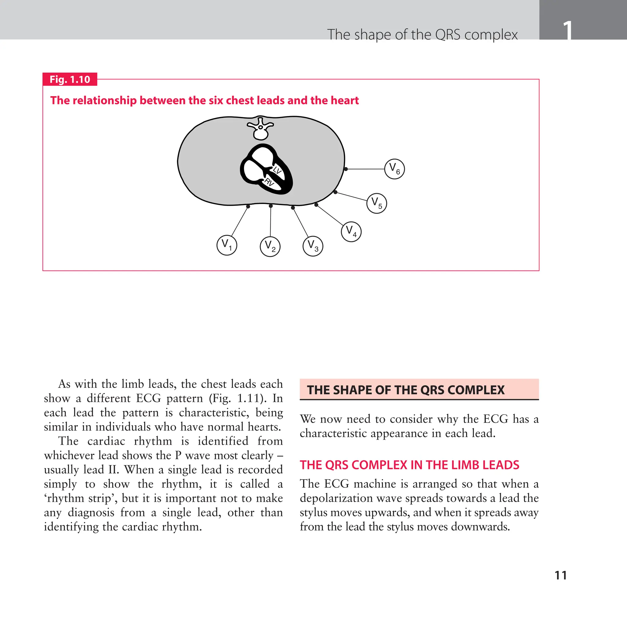 The ECG made easy guide. Guide on how to read ECG's quick and ...