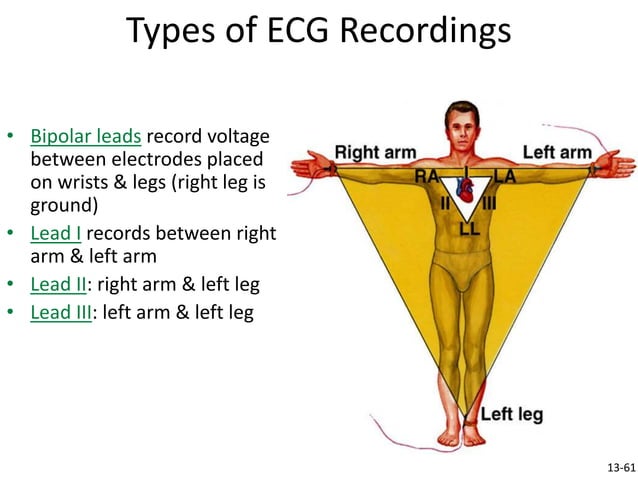 ecg made easy ecocadiograph interpretation | PPT | Free Download