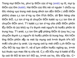 ECG_Mai dien hoa.ppt