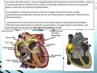 ECG Normal | PPTX