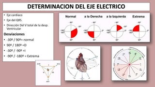Ecg normal | PPTX