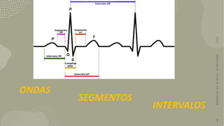 ECG normal EXPOSICION.pptx