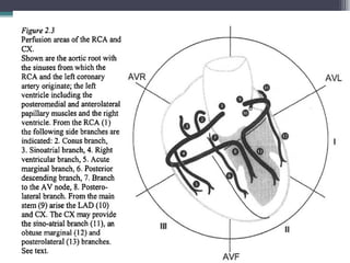 An Interesting ECG for Discussion | PPT | Heart and Cardiovascular ...