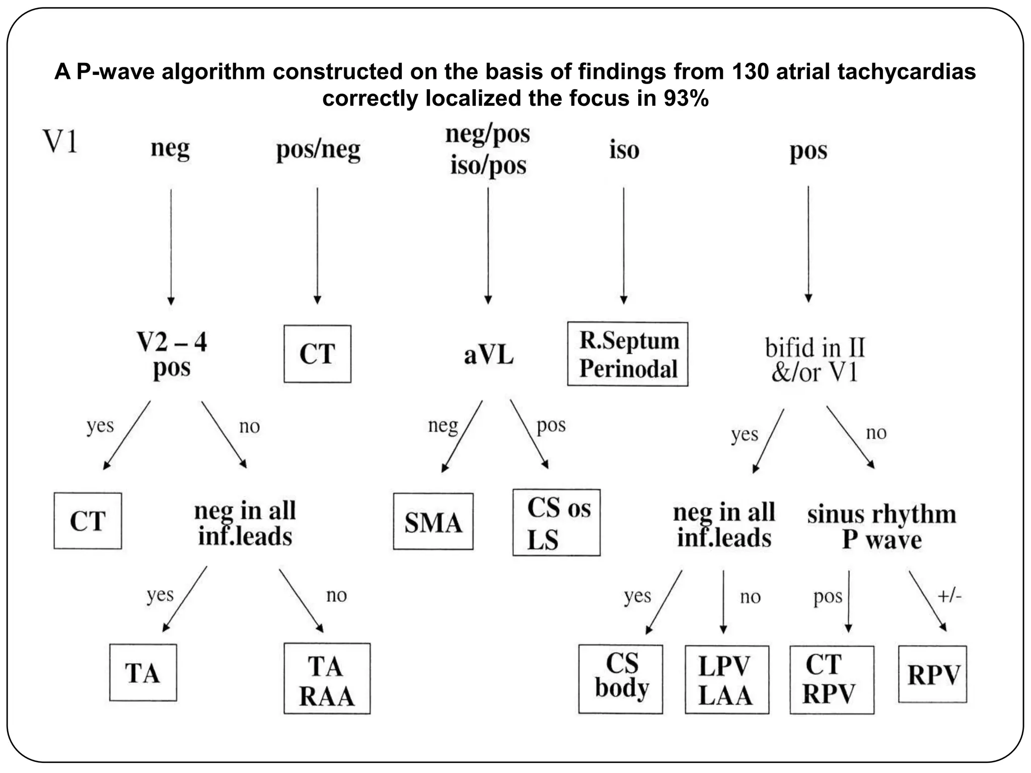 ECG: Atrial Bigeminy | PPT | Heart and Cardiovascular Diseases ...