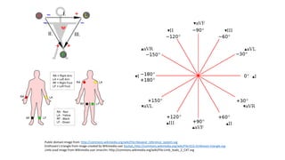 ECG Technical Overview | PDF