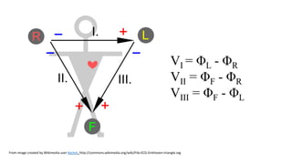 ECG Technical Overview | PDF