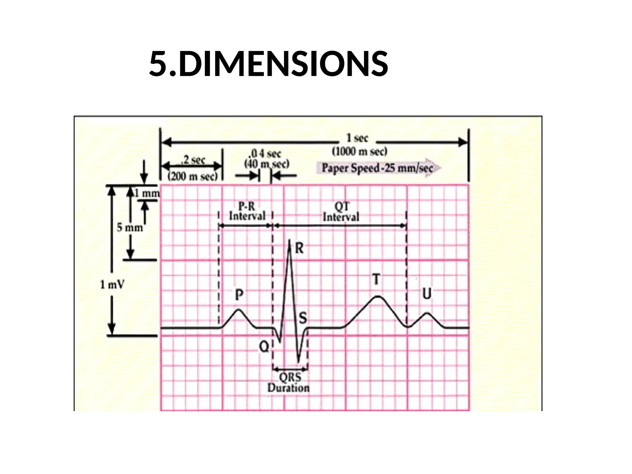 ECG. PAPERS. long presentation | PPTX