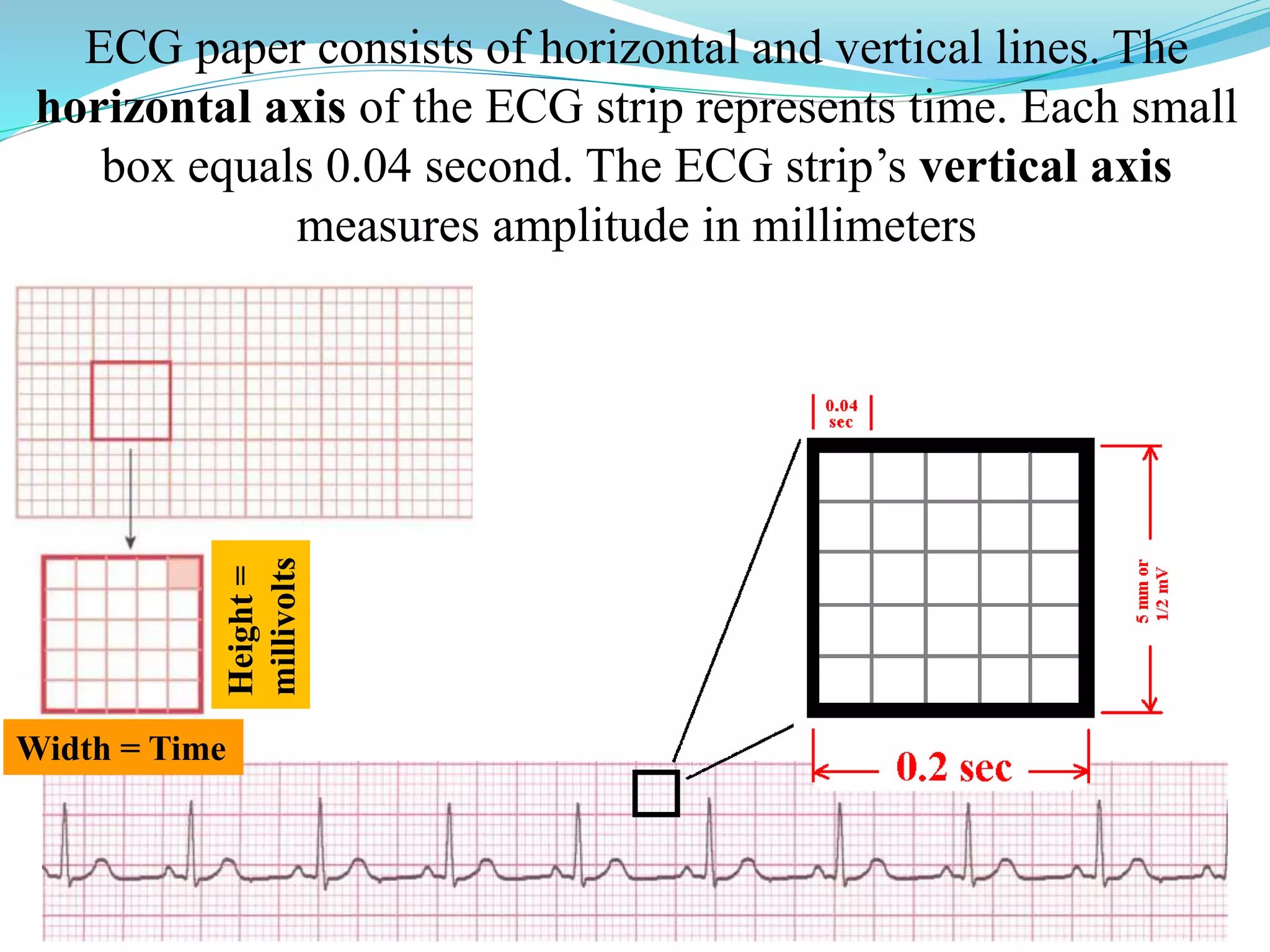 Ecg part i | PPT