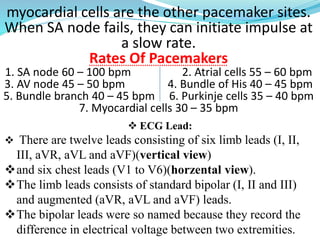 Ecg part i | PPT