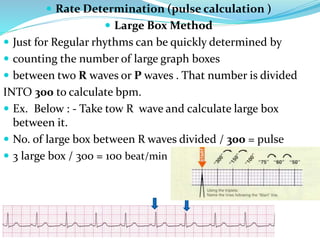 Ecg part i | PPT