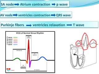 Ecg part i | PPT