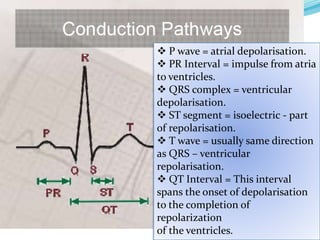 Ecg part i | PPT