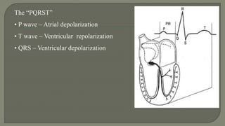 Ecg ppt | PPTX