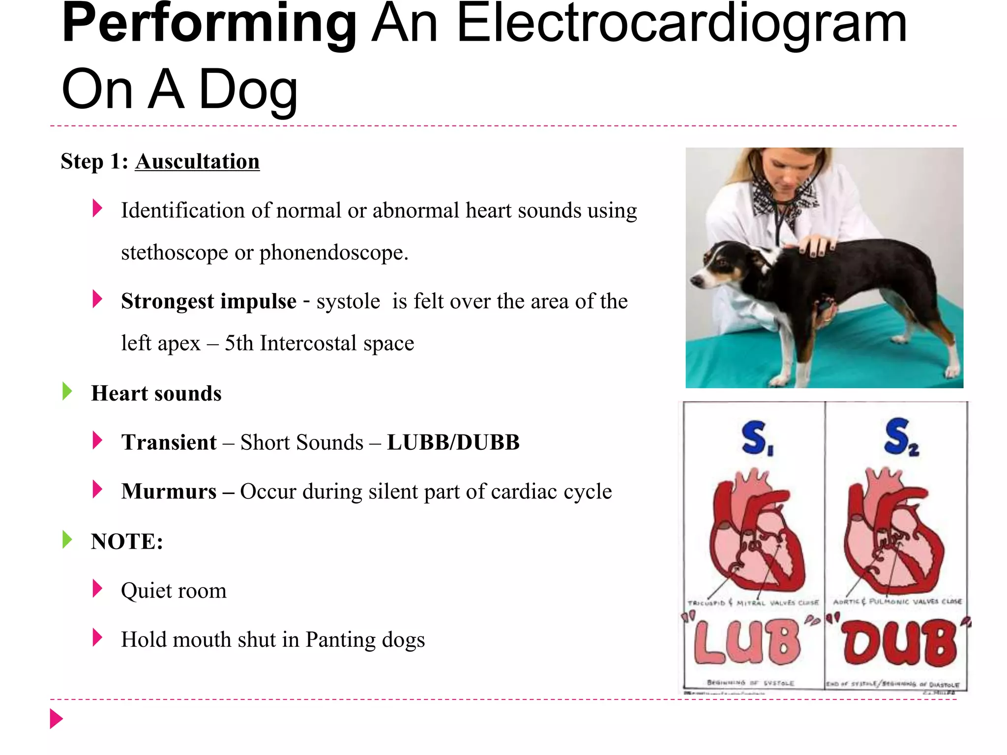 Ecg ppt | PPTX
