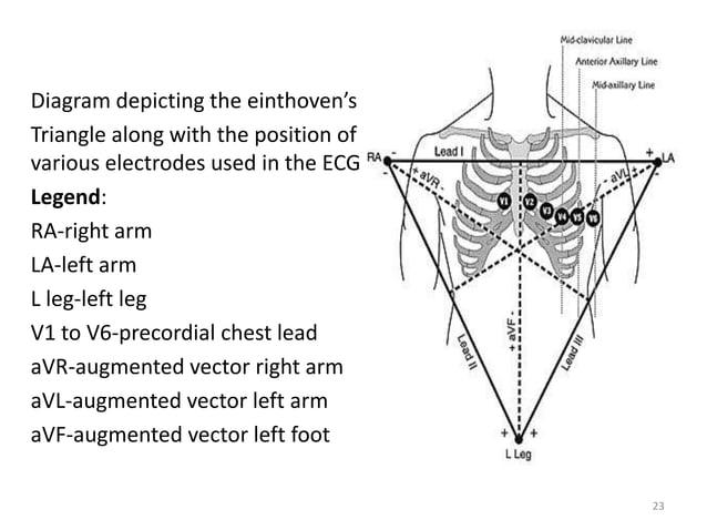 ELECTROCARDIOGRAPHY (ECG) | PPTX | Heart and Cardiovascular Diseases ...