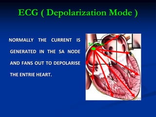 Ecg presentation | PDF
