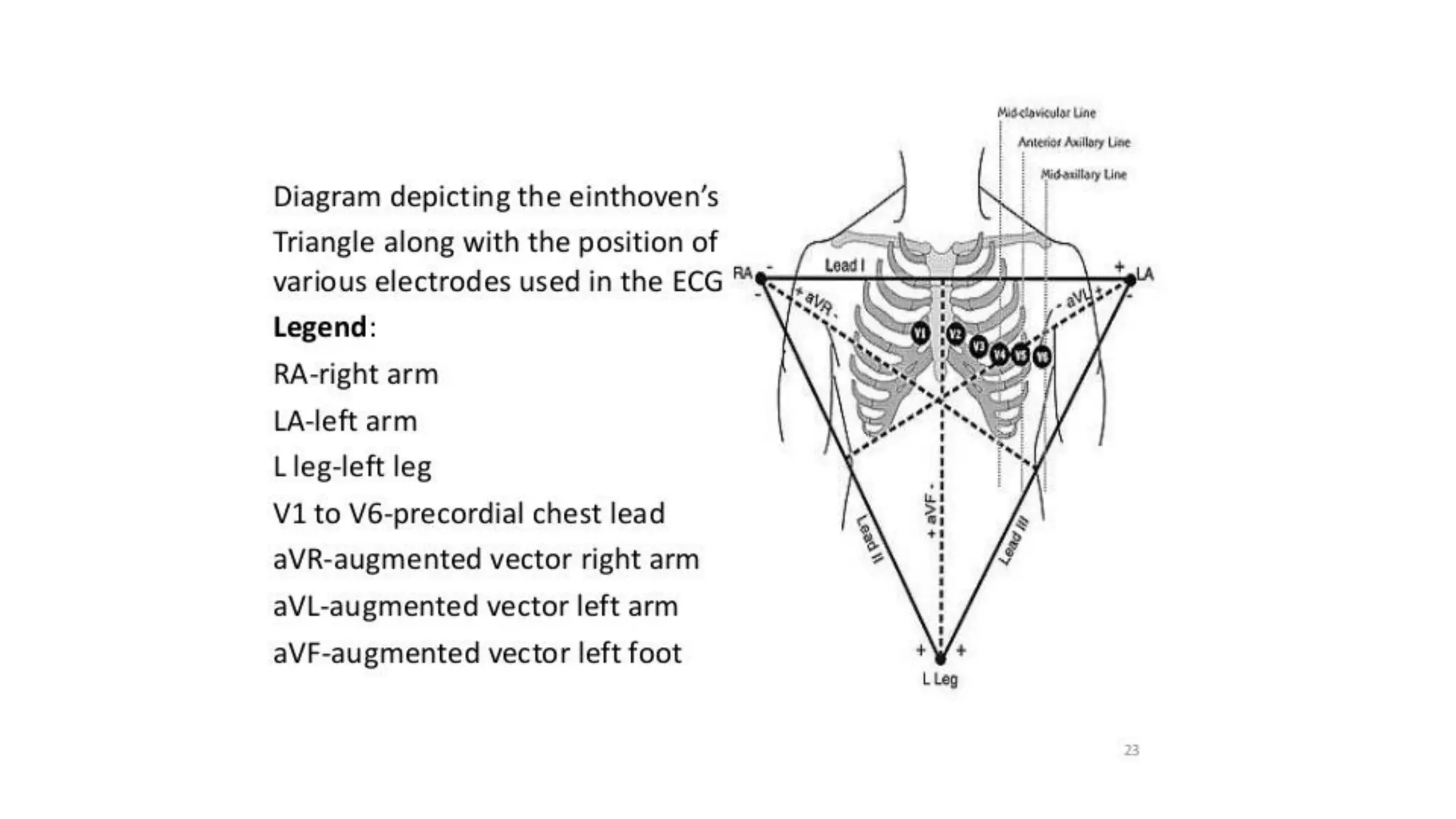 Ecg presentation | PPT