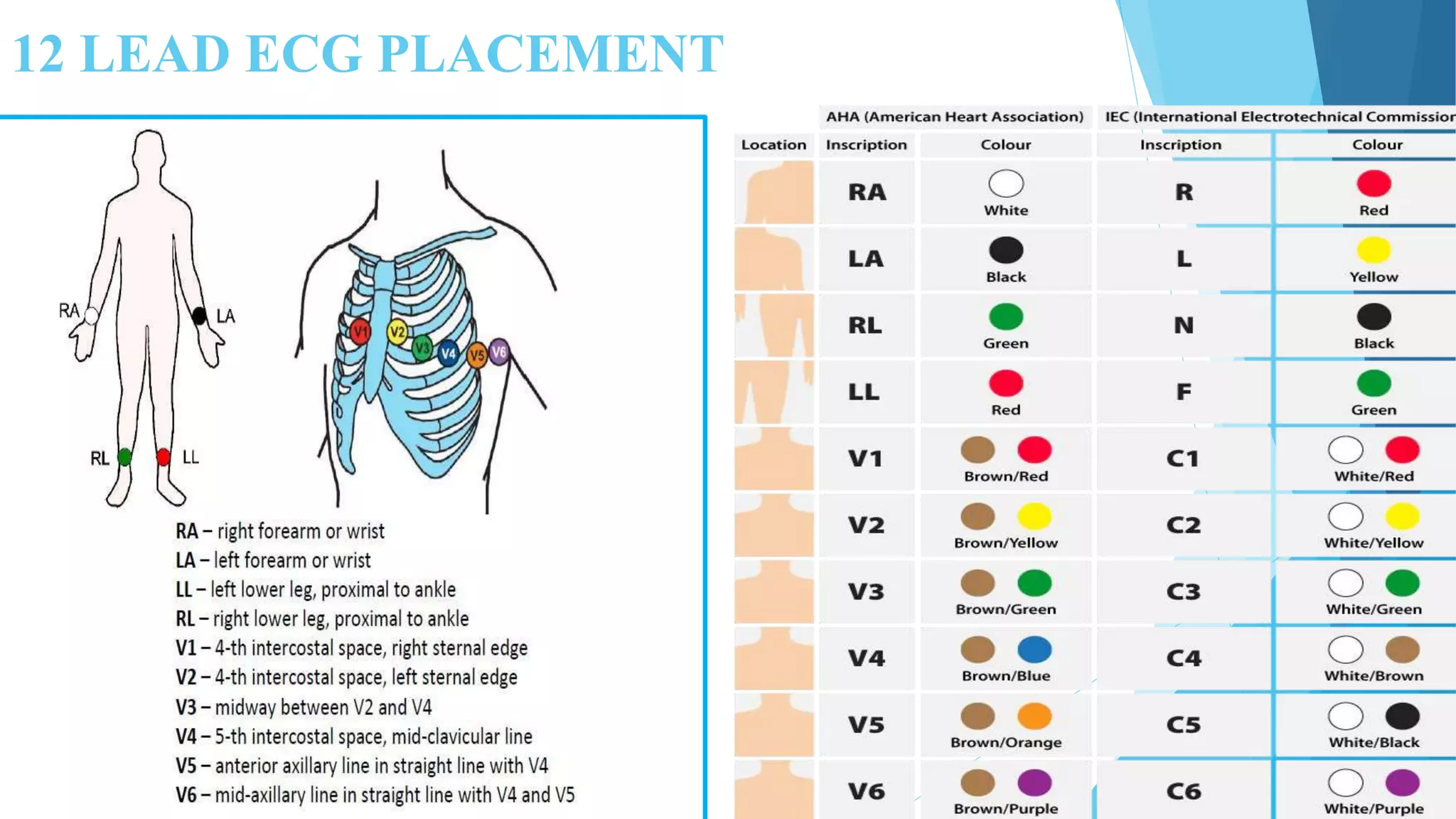 EDUCATIONAL PROGRAMME ON ECG pptx | PPTX