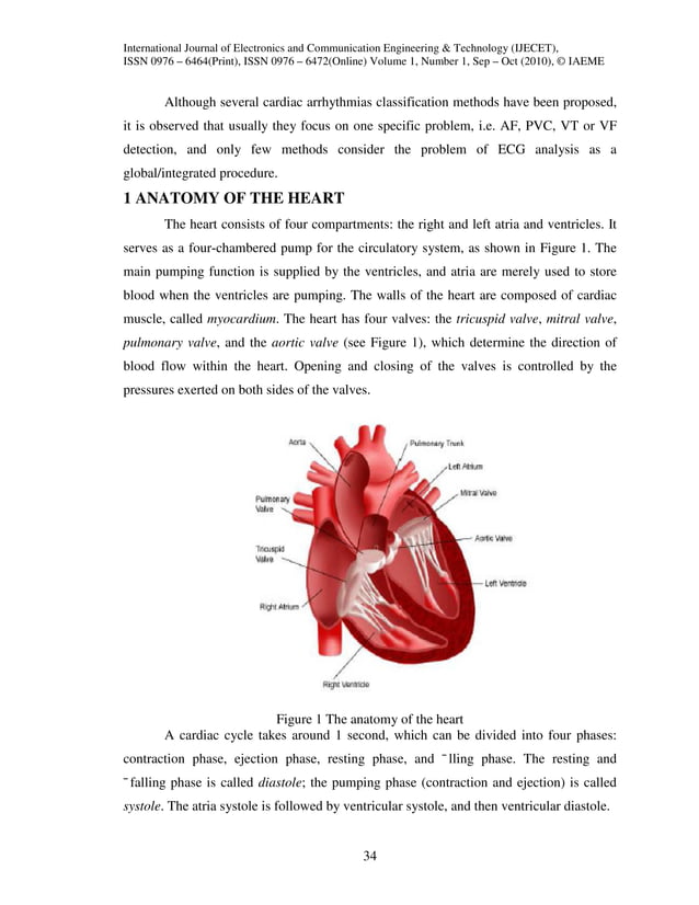 Ecg Signal Processing For Detection And Classification Of Cardiac Diseases Pdf Heart And