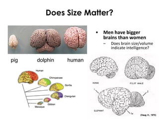 ECGS Module 16A | PPT