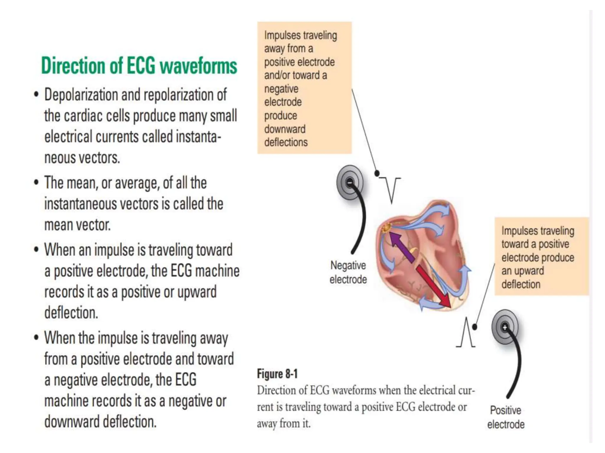 ECG STEPS,10 STEPS IN ECG INTERPRETATION | PPTX