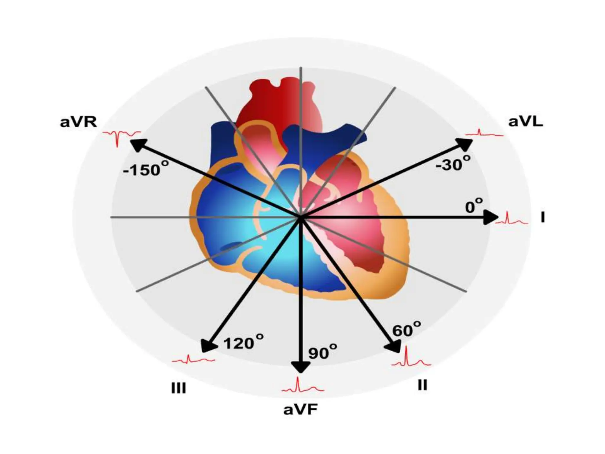 ECG STEPS,10 STEPS IN ECG INTERPRETATION | PPTX