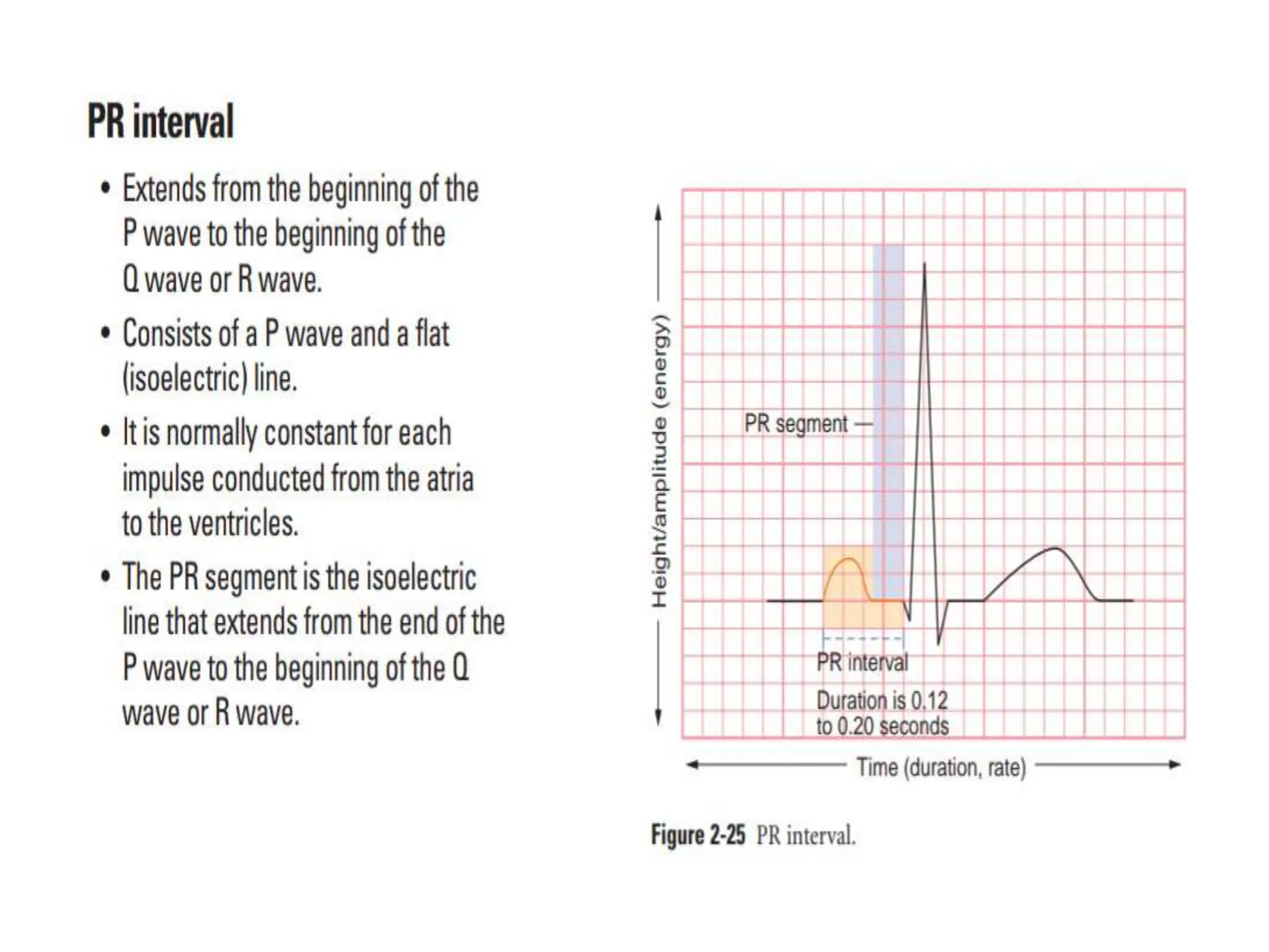 ECG STEPS,10 STEPS IN ECG INTERPRETATION | PPTX