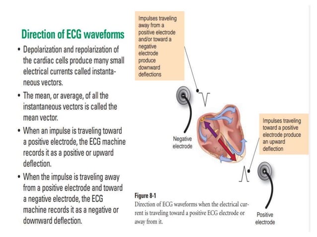 ECG STEPS,10 STEPS IN ECG INTERPRETATION | PPTX | Heart and ...