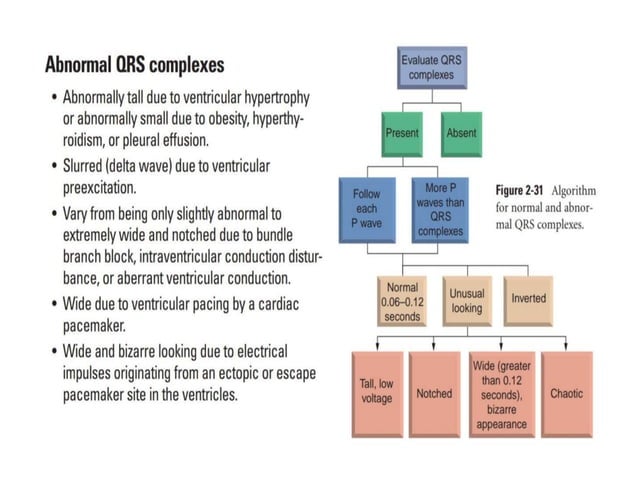 ECG STEPS,10 STEPS IN ECG INTERPRETATION | PPTX | Heart and ...