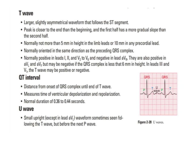 ECG STEPS,10 STEPS IN ECG INTERPRETATION | PPTX | Heart and ...