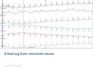 ecgTUNNEL noninvasive ecg and respiration from conscious rats/mice ...